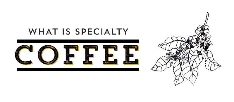 What is Specialty Coffee?